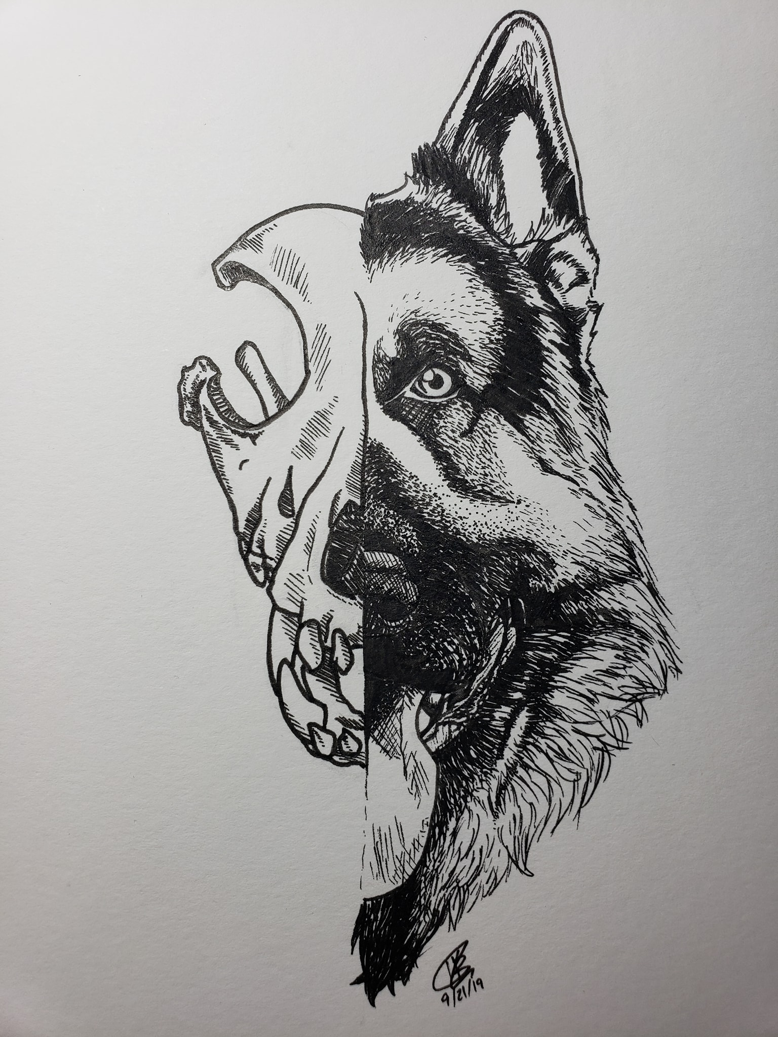 Artwork – Victoria Bee